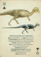 Prenocephale | Dinopedia | Fandom