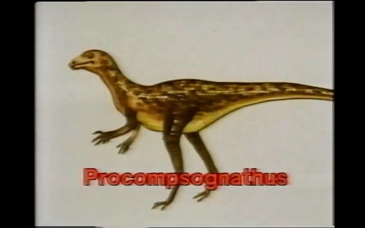 Procompsognathus | Dinopedia | Fandom