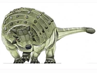 Pinacosaurus | Dinopedia | Fandom