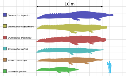 Largest Crocodylomorphs | Dinopedia | FANDOM powered by Wikia