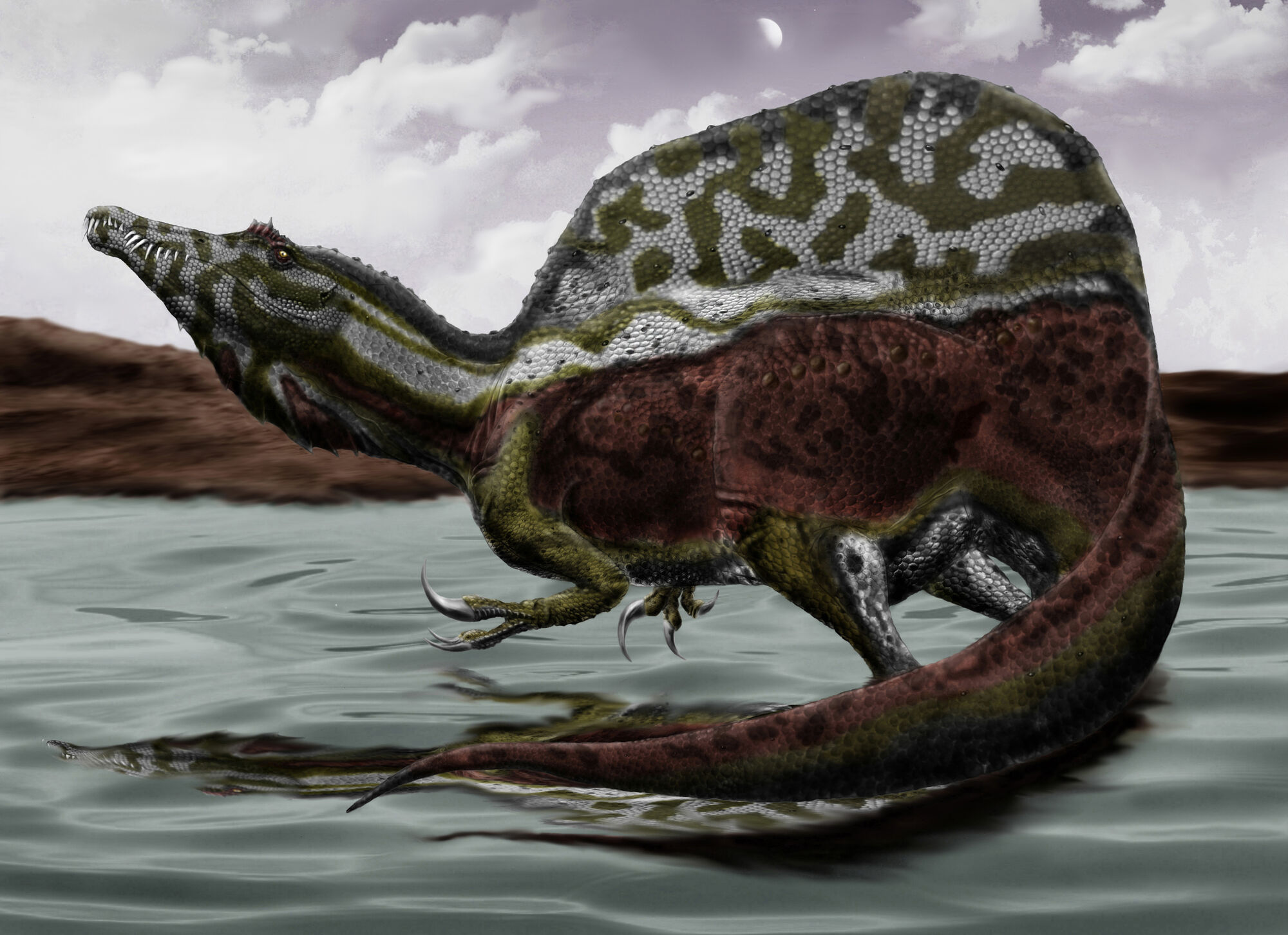 Spinosaurus | Dinopedia | FANDOM powered by Wikia