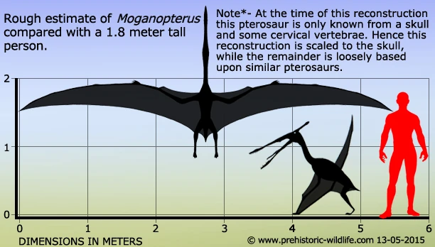 Moganopterus | Dinopedia | FANDOM powered by Wikia