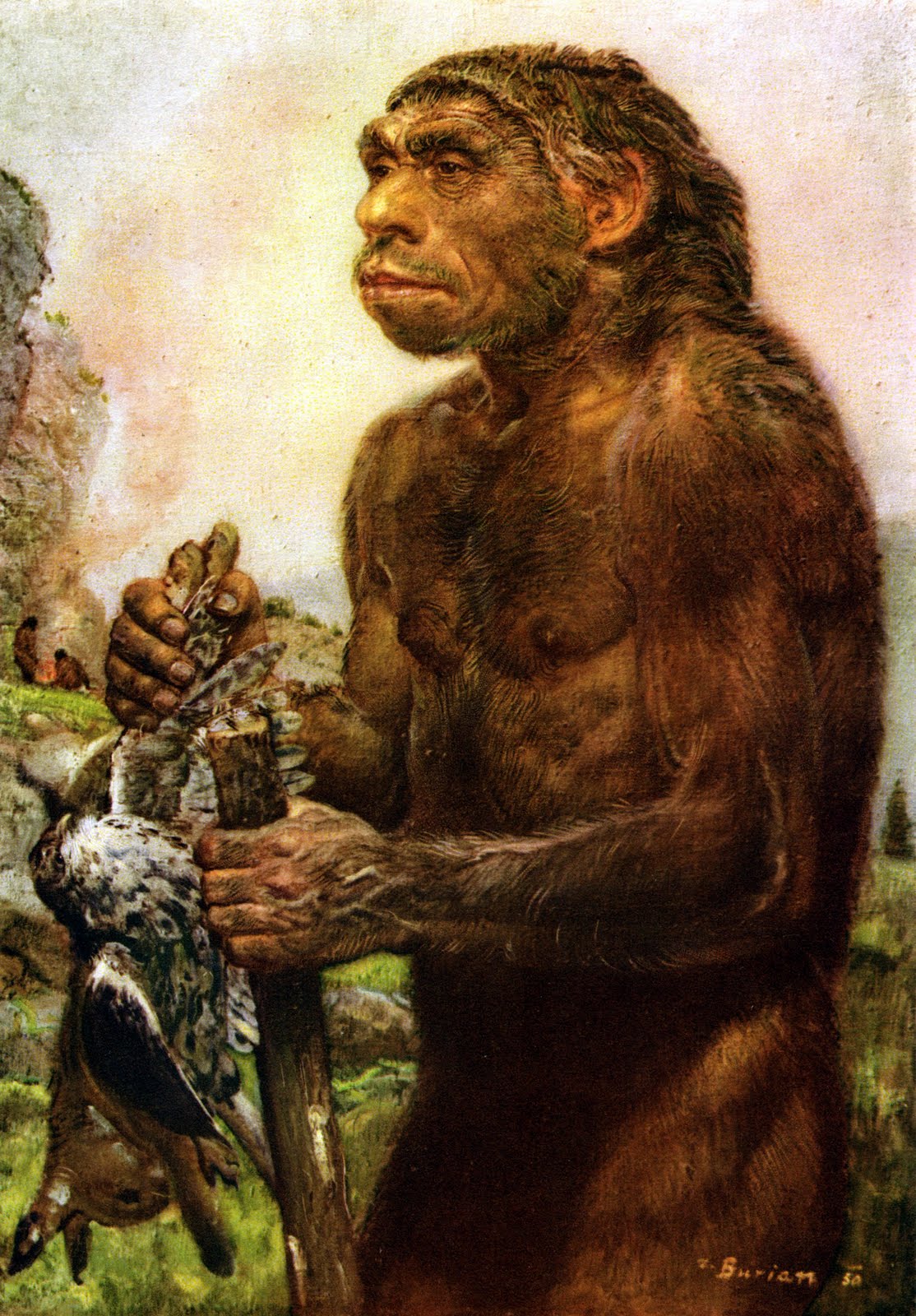 Neanderthal | Dinopedia | FANDOM powered by Wikia Neanderthal | Dinopedia | FANDOM powered by Wikia