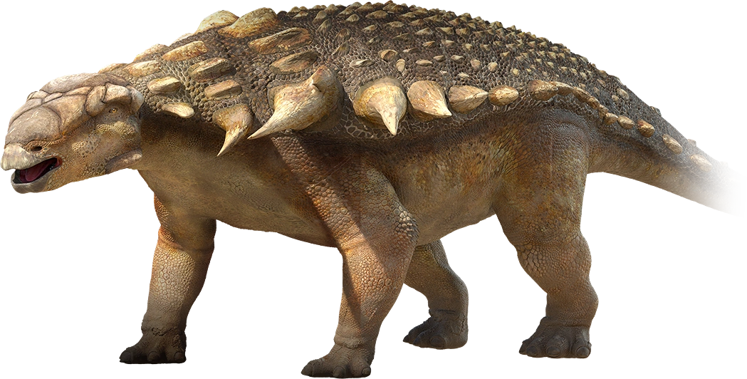 Ankylosaurs | Dinopedia | FANDOM powered by Wikia