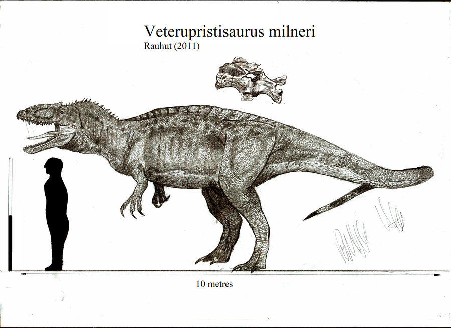 Veterupristisaurus Dinopedia Fandom Powered By Wikia