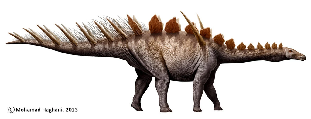 Miragaia | Dinopedia | Fandom