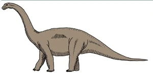 Amanzia | Dinopedia | Fandom