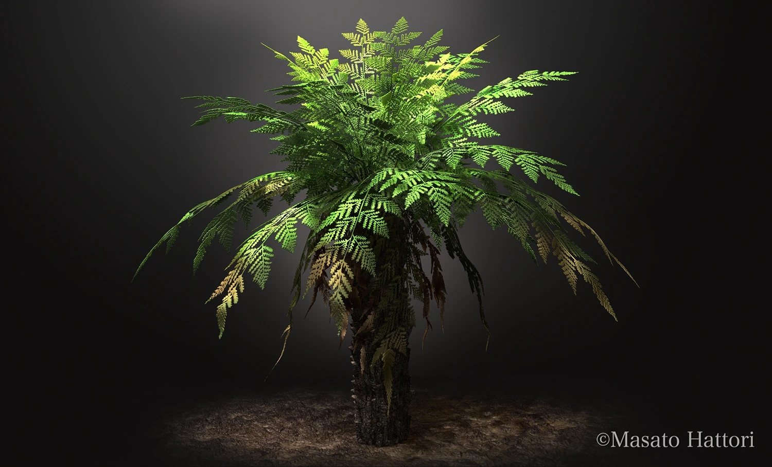 A noob project - Page 19 - The ZT2 Round Table