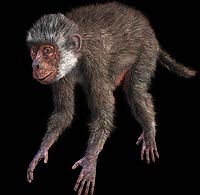 Apidium | Dinopedia | Fandom