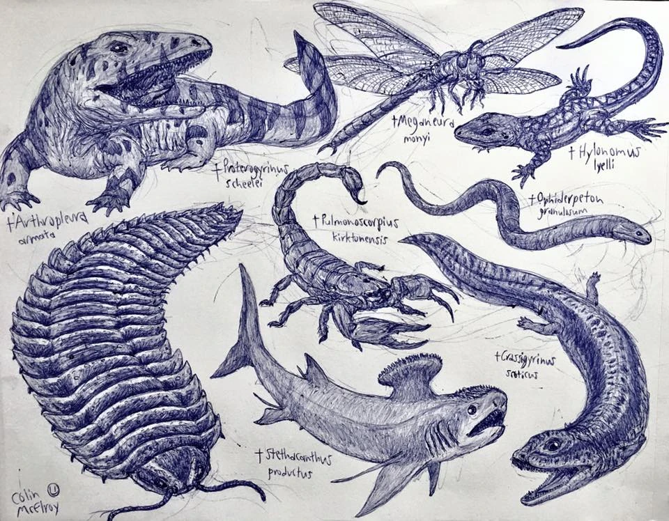 Carboniferous | Dinopedia | Fandom