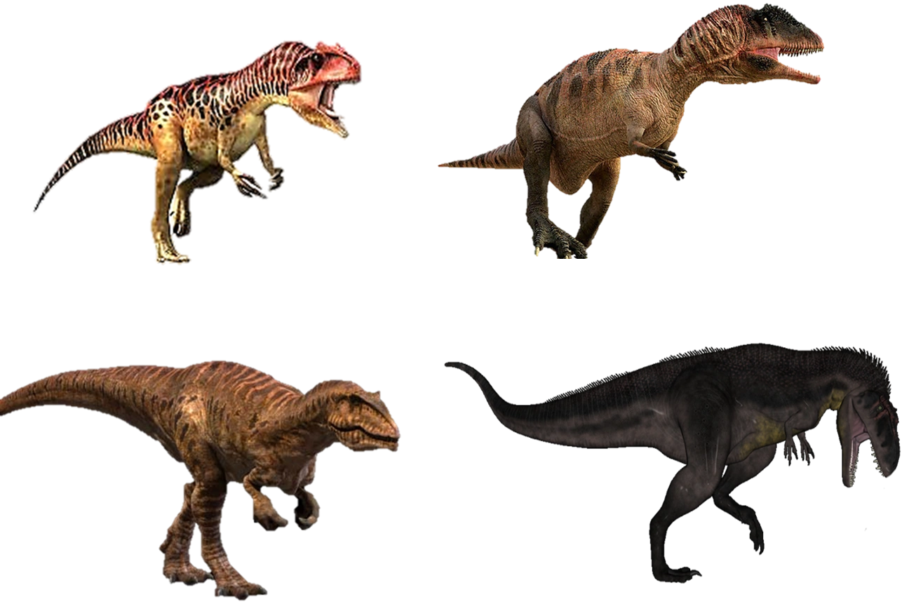 Carnosauria | Dinopedia | FANDOM powered by Wikia