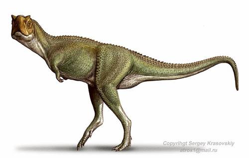 Xenotarsosaurus Dinopedia Fandom Powered By Wikia