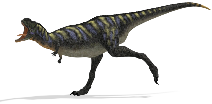Aucasaurus | Dinopedia | FANDOM powered by Wikia