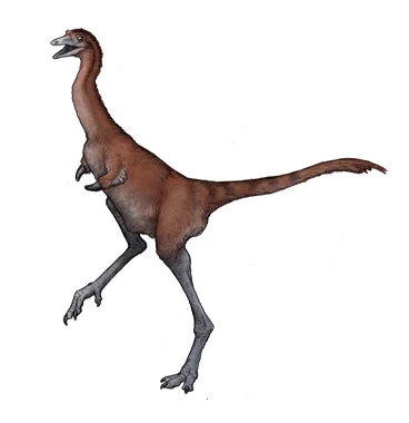 Mononykus | Dinopedia | Fandom