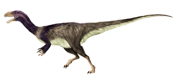 Noasauridae | Dinopedia | Fandom