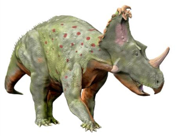 Coronosaurus | Dinopedia | Fandom
