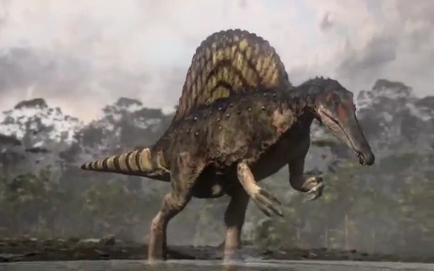 Spinosauridae | Dinopedia | FANDOM powered by Wikia