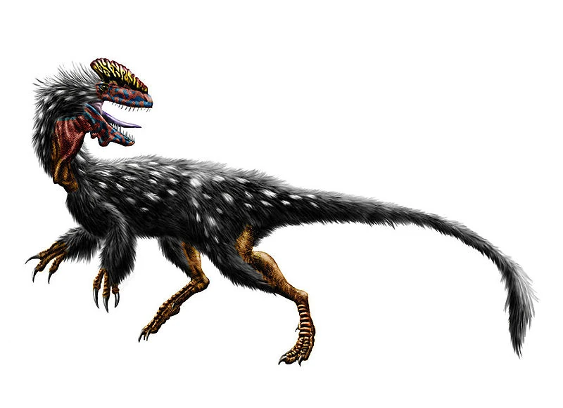 Guanlong | Dinopedia | FANDOM powered by Wikia