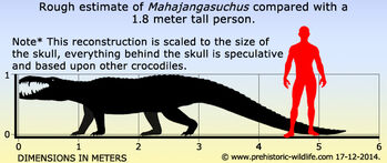 Mahajangasuchus | Dinopedia | FANDOM powered by Wikia