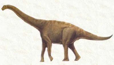 Abrosaurus | Dinopedia | FANDOM powered by Wikia