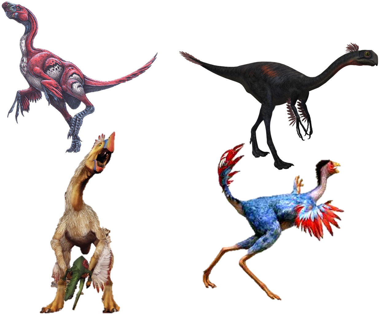 Oviraptorosauria | Dinopedia | FANDOM powered by Wikia Oviraptorosauria | Dinopedia | FANDOM powered by Wikia