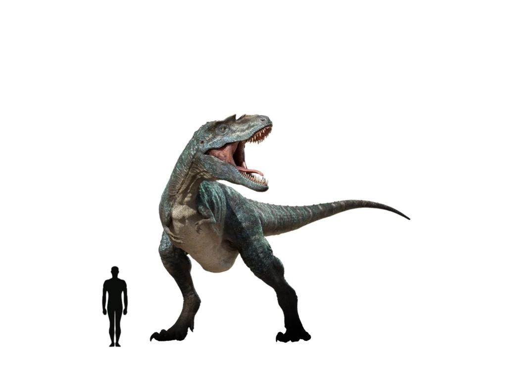 Image - Gorgosaurus size.jpeg | Dinopedia | FANDOM powered by Wikia