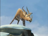 Synthetoceras | Dinopedia | Fandom