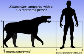 Xenosmilus | Dinopedia | Fandom