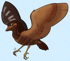 Apsaravis | Dinopedia | Fandom