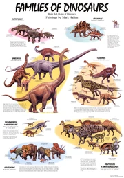Ohmdenosaurus | Dinopedia | Fandom