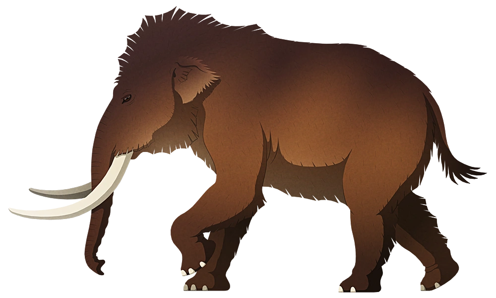 Pygmy mammoth | Dinopedia | Fandom