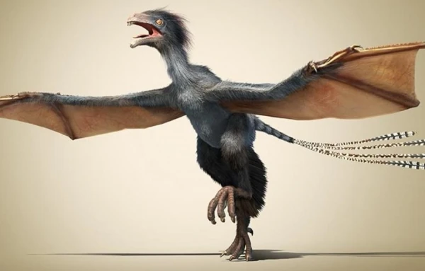 Yi | Dinopedia | FANDOM powered by Wikia