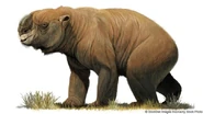Diprotodon | Dinopedia | Fandom