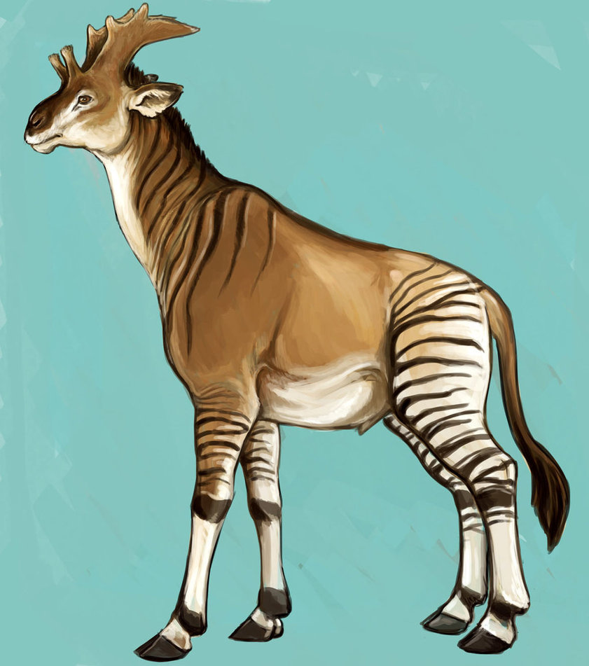 Sivatherium | Dinopedia | FANDOM powered by Wikia Sivatherium | Dinopedia | FANDOM powered by Wikia