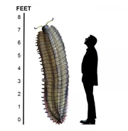 Arthropleura | Dinopedia | Fandom