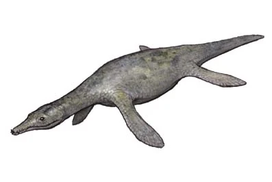 Pistosaurus | Dinopedia | FANDOM powered by Wikia