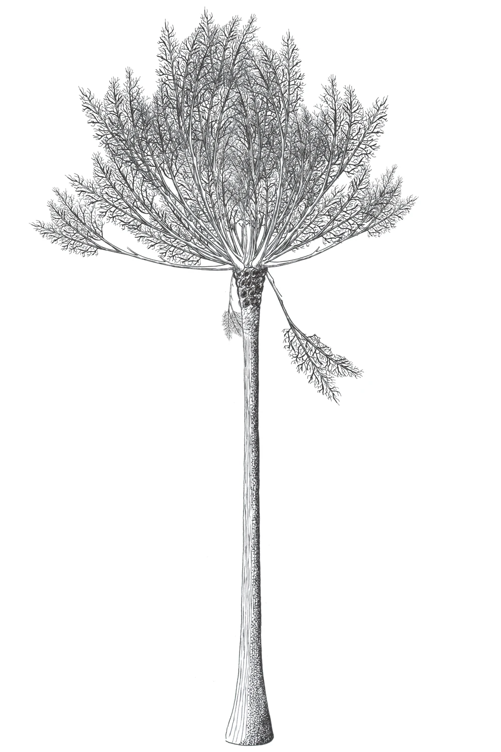 A noob project - Page 19 - The ZT2 Round Table