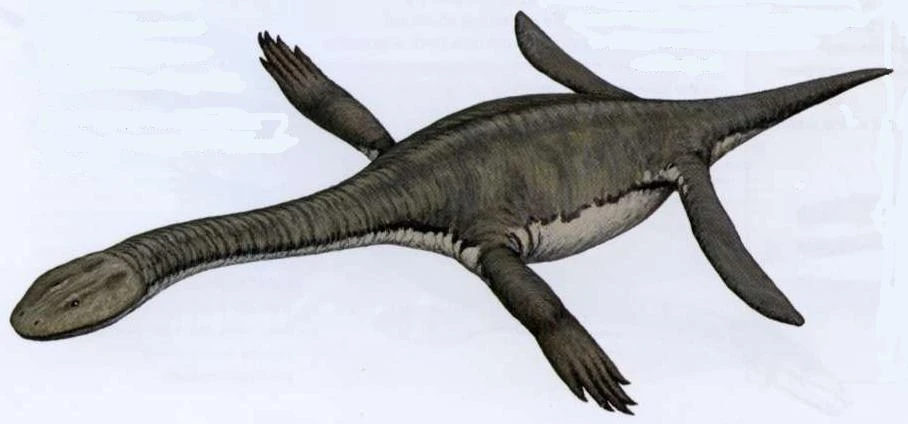 Dactylosaurus | Dinopedia | Fandom