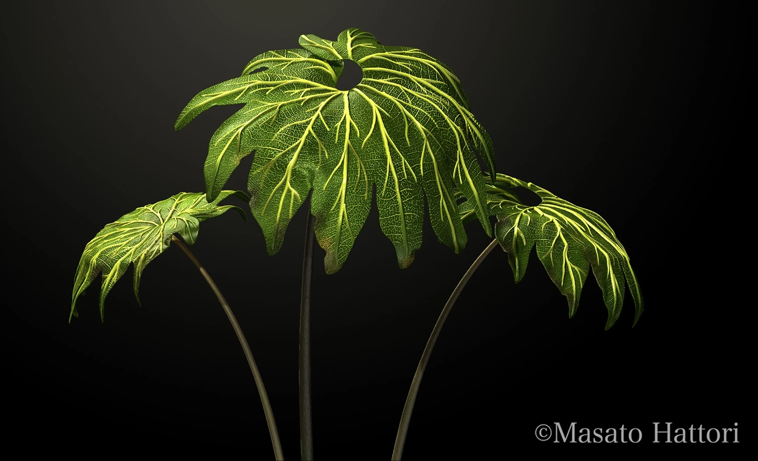 A noob project - Page 19 - The ZT2 Round Table