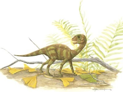 Mussaurus | Dinopedia | FANDOM powered by Wikia