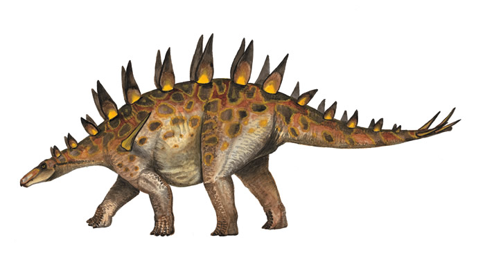 Chungkingosaurus Dinopedia Fandom Powered By Wikia