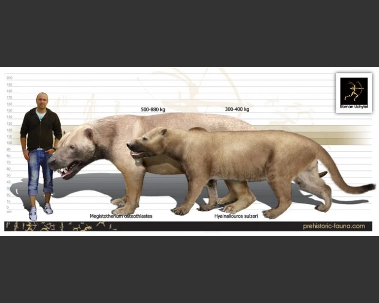 Megistotherium | Dinopedia | FANDOM powered by Wikia