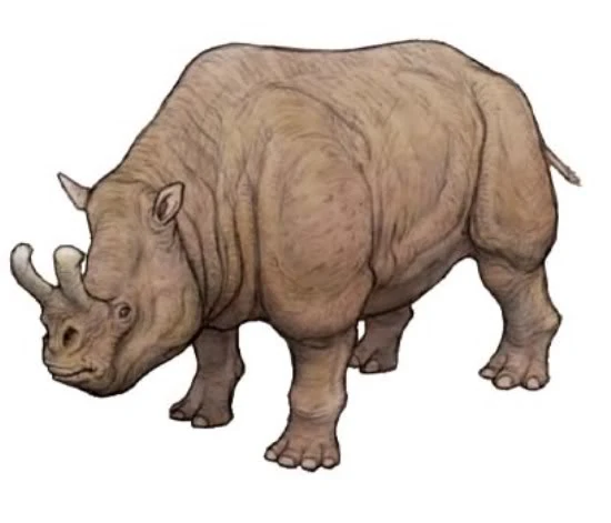 Image - Brontotherium.jpg | Dinopedia | FANDOM powered by Wikia