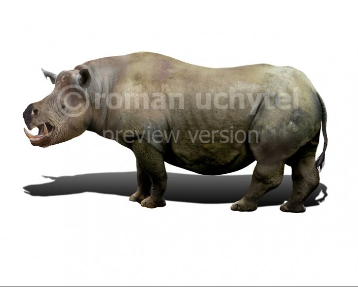 Chilotherium | Dinopedia | FANDOM powered by Wikia