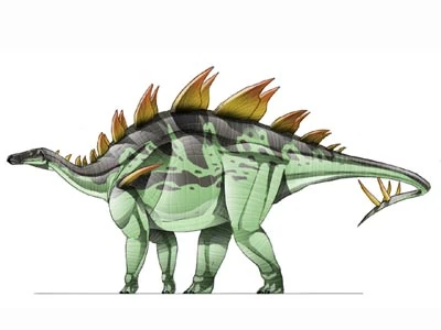 Loricatosaurus | Dinopedia | FANDOM powered by Wikia