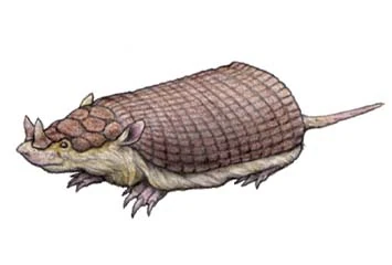 Peltephilus | Dinopedia | Fandom