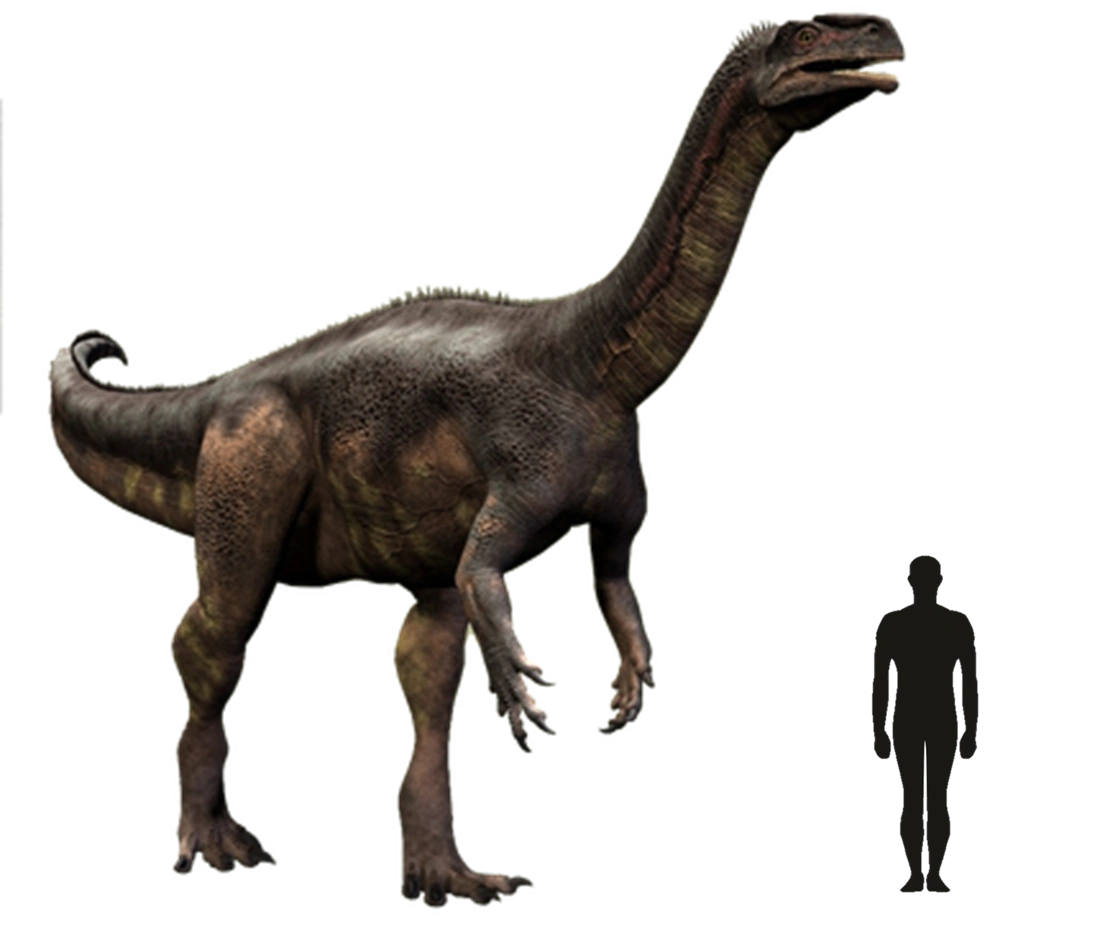 Image - Plateosaurus Size Comparison.png | Dinopedia | FANDOM powered ...