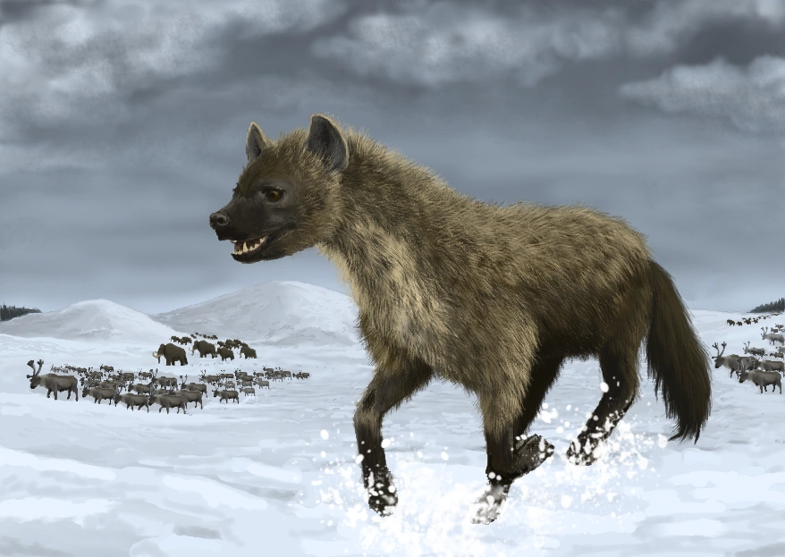 Cave Hyena | Dinopedia | FANDOM powered by Wikia