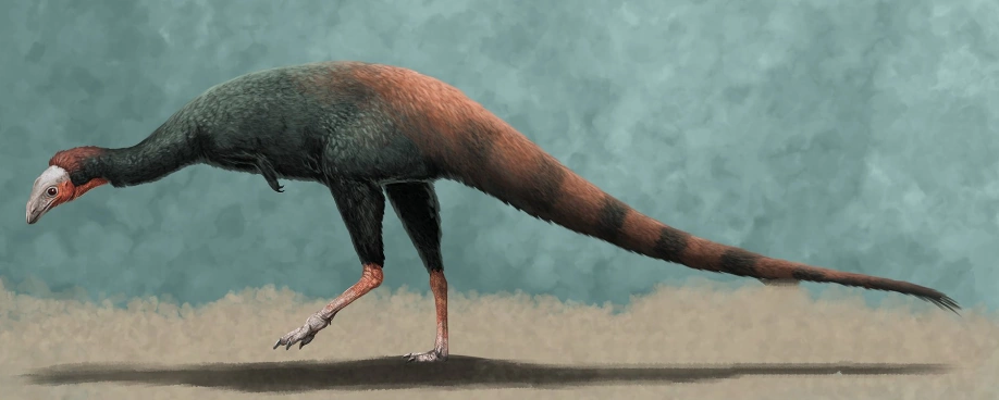 Huinculsaurus | Dinopedia | Fandom