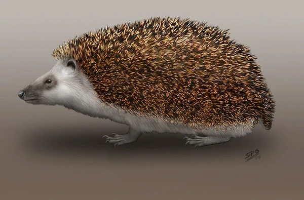 Amphechinus | Dinopedia | Fandom